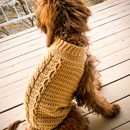 Free Crochet Small Dog Sweater Pattern