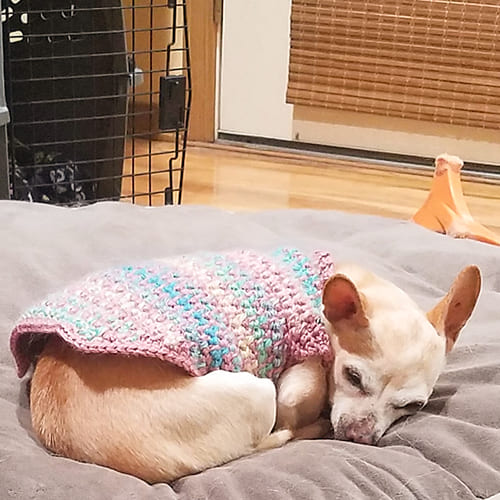 Wavy Free Simple Crochet Dog Sweater Pattern