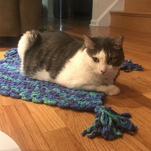 Free Crochet Cat Mat Pattern